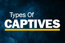 Captive Insurance & Alternative Risk | Capstone Associated Services